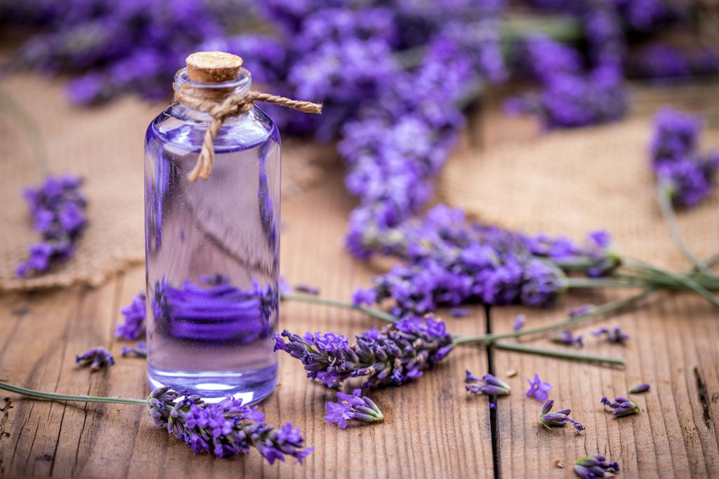 Are Terpenes Essential Oils? Terpenes For Anxiety & Pain – Nutura Wellness Are Terpenes Essential Oils? Terpenes For Anxiety & Pain – Nutura Wellness